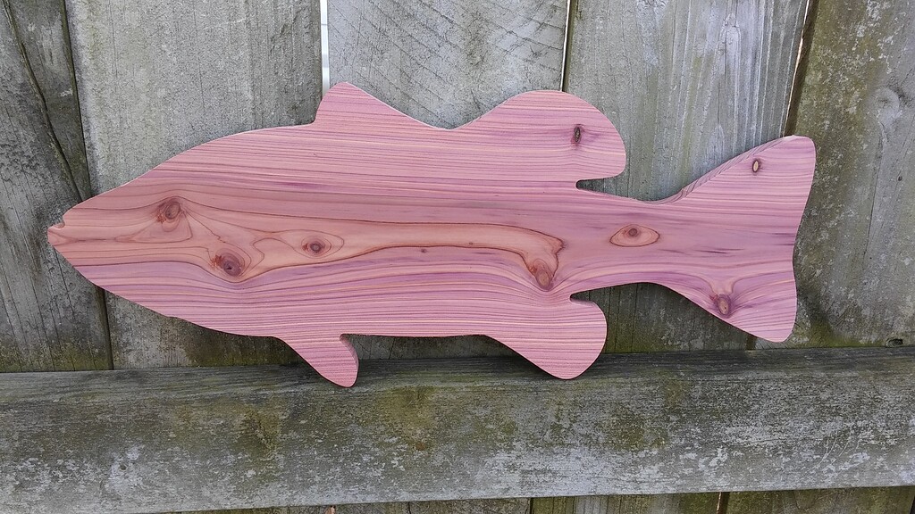 I love cedar - Projects - Easel Community Forum